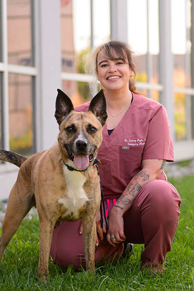 Dr Sammy Boyle - OAESH